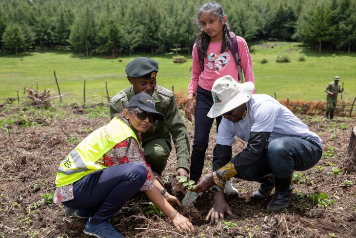 4,750 trees planted during Phase 1 of a Nationwide tree planting drive ...